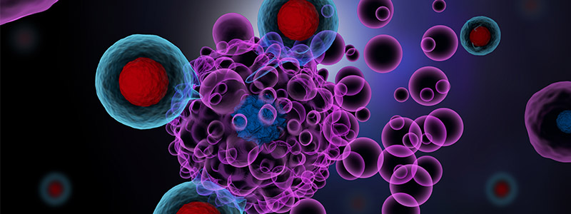 Cellular Immunotherapy Program